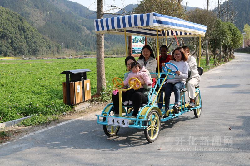 油菜花进入鼎盛期 音坑下淤旅游创佳绩 开化新闻网