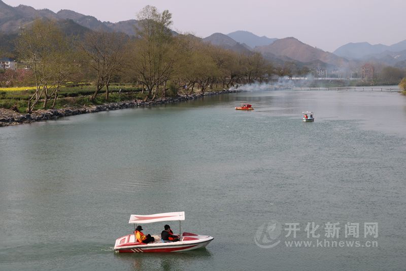 油菜花进入鼎盛期 音坑下淤旅游创佳绩 开化新闻网