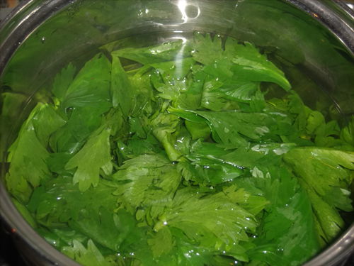 芹菜叶鸡蛋饼--金华频道