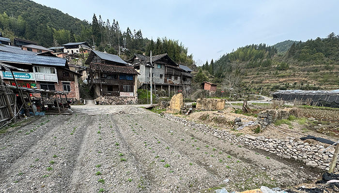 浙江最偏远乡镇首宗“农地”成功入市！-庆元网